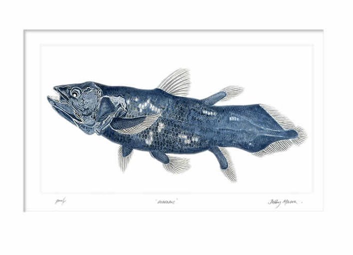 Coelacanth Blue - Coral Seas Hand Coloured Etching Print by Artist ...