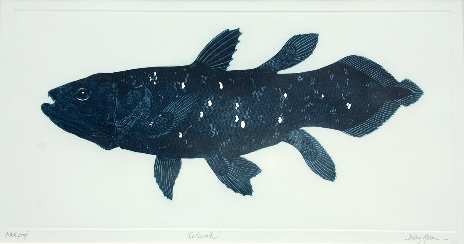 Coelacanth Blue with Silver Leaf - Coral Seas Hand Coloured Etching ...