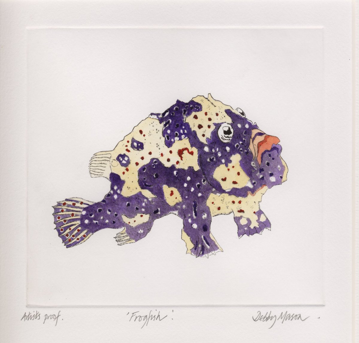Frogfish - Coral Seas Small Prints Hand Coloured Etching Print by ...