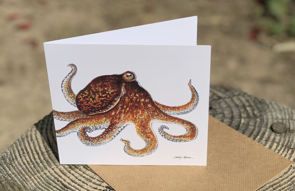 Common Octopus Greetings Card - My Designs Greetings Cards Hand ...