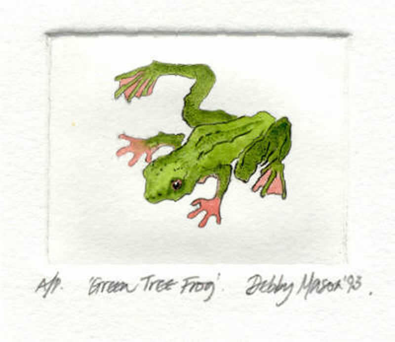 Green Tree Frog - Amphibians Small Prints Hand Coloured Etching Print ...