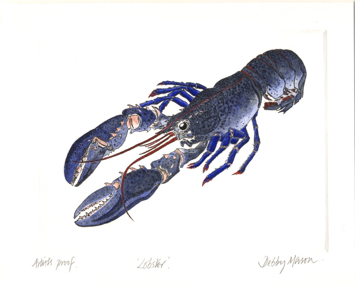Lobster - Crustaceans Small Prints Hand Coloured Etching Print by ...