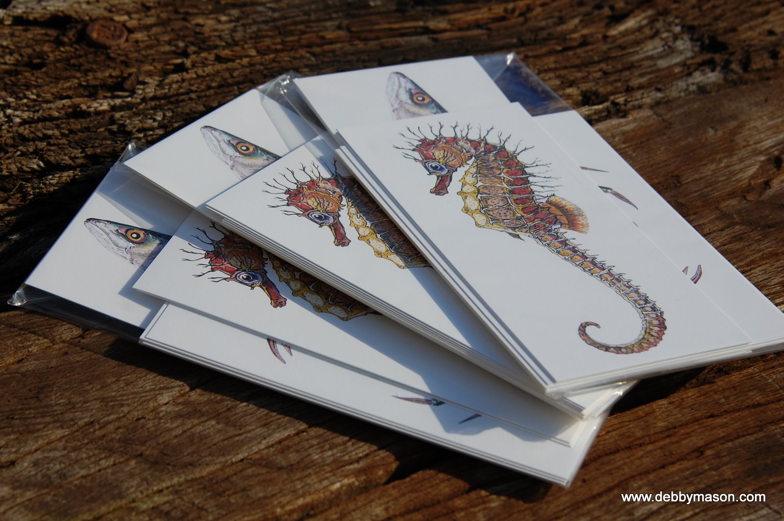 Assorted Sea Life Postcard Pack - My Designs Postcards Hand Coloured ...