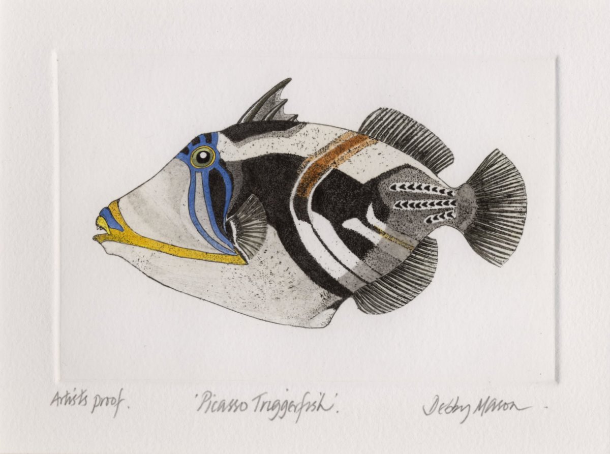 Picasso Triggerfish - Coral Seas Small Prints Hand Coloured Etching ...