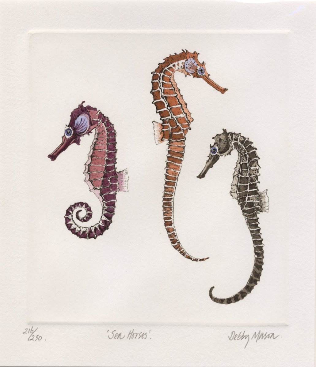 Sea Horses - Sea Horses Small Prints Hand Coloured Etching Print by ...
