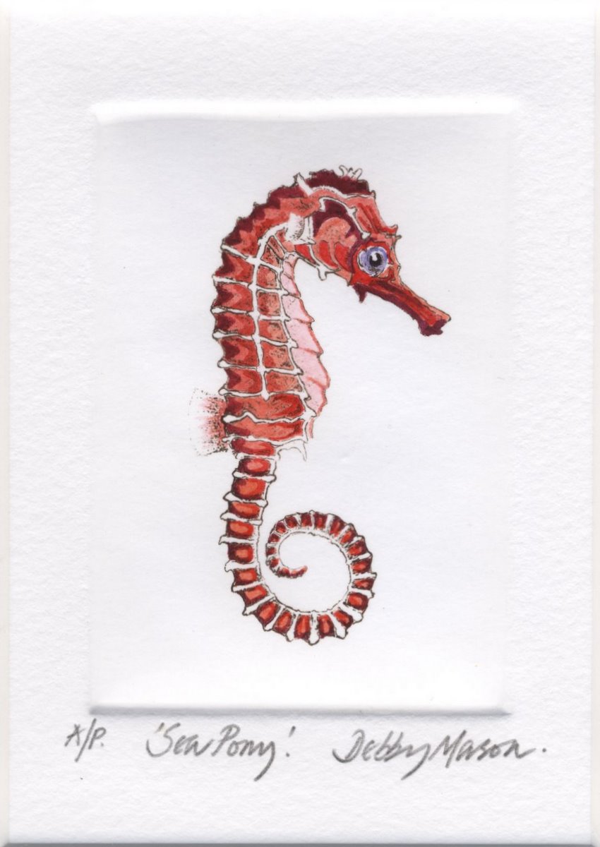 how to draw sea ponies