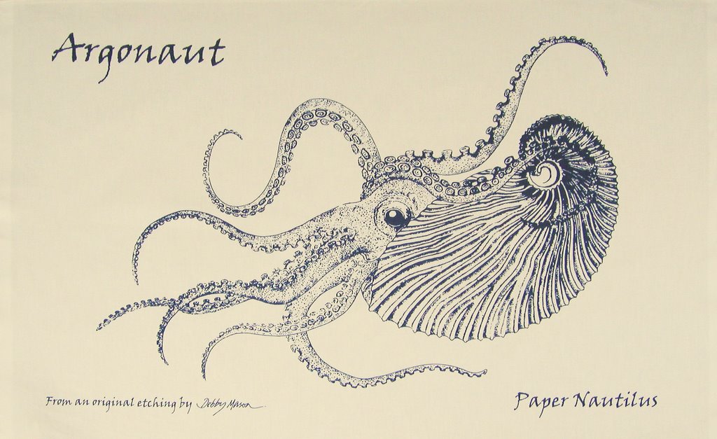 Argonaut Tea Towel - My Designs Tea Towels Hand Coloured Etching Print ...