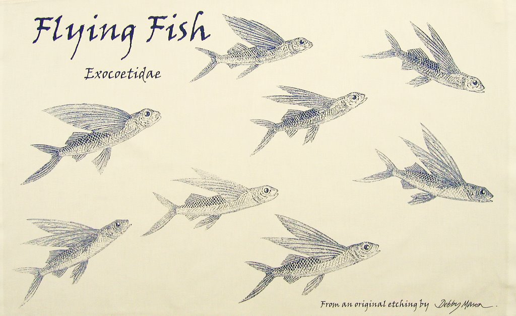 flying fish design