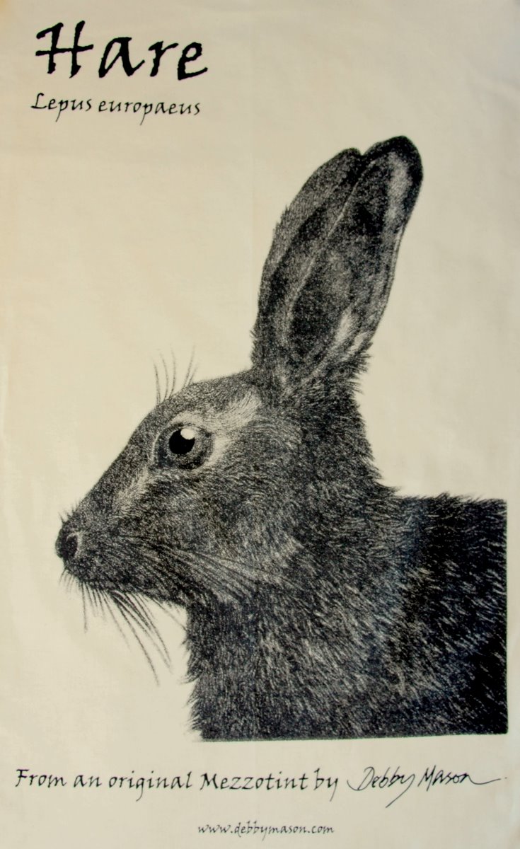 Hare Tea Towel - My Designs Tea Towels Hand Coloured Etching Print by ...