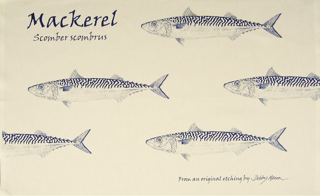 Mackerel Tea Towel - My Designs Tea Towels Hand Coloured Etching Print ...