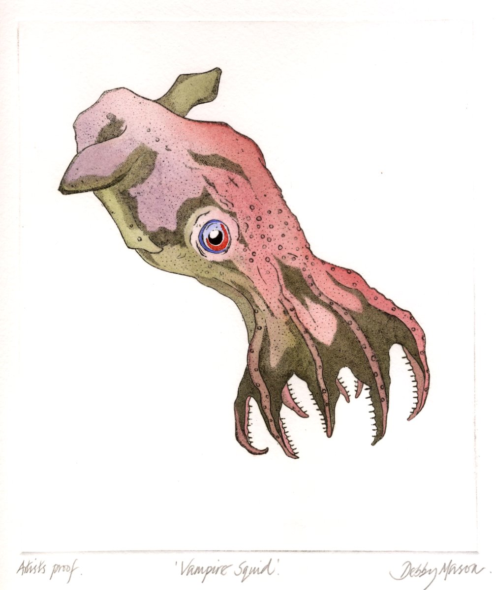 Vampire Squid - Cephalopods Medium Prints Hand Coloured Etching Print ...