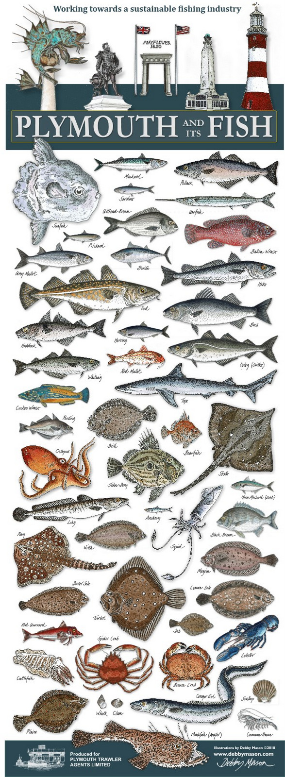 Plymouth & Its Fish Poster (50 Species) - My Designs Posters Hand ...
